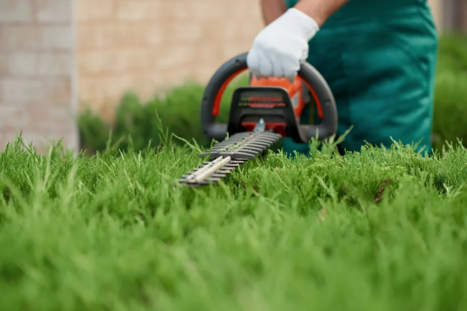 Landscaping Services - J Velasco Lawn Care Maintenance, Lincoln, California