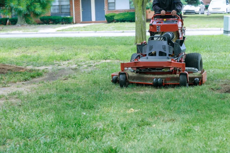Landscaping Services - J Velasco Lawn Care Maintenance, Lincoln, California